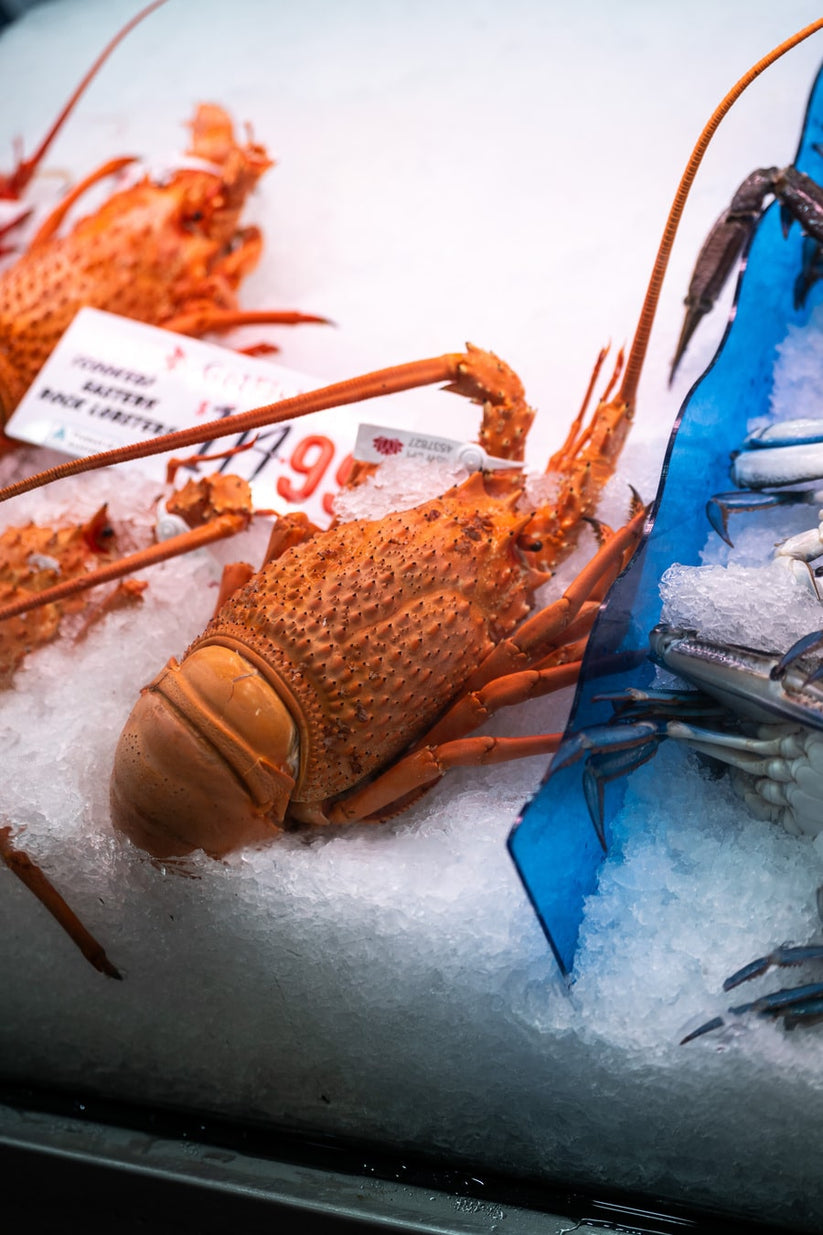 Buy Cooked Eastern Rock Lobster Per Piece Online - Delivered Sydney, Wollongong, Newcastle ...