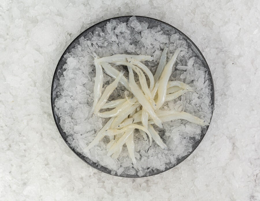 Buy Silverfish Frozen per 1kg Online - Delivered Sydney, Melbourne ...