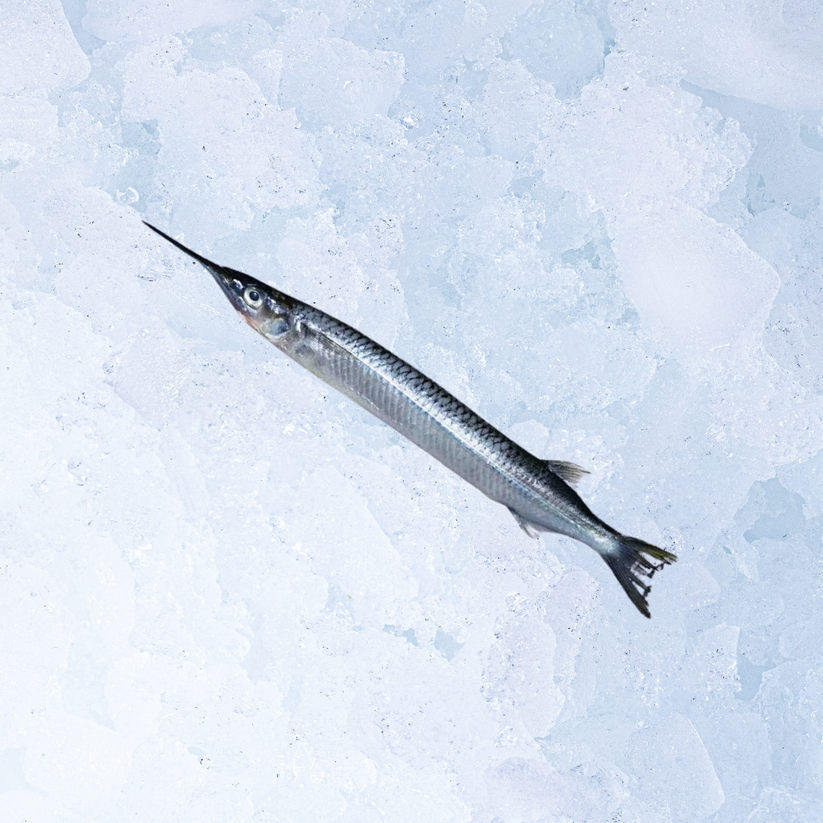 Buy Whole Garfish Online | Delivered to your door – Getfish Seafood