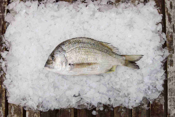 Yellowfin Bream Delivered Sydney, Newcastle & Wollongong – Getfish Seafood