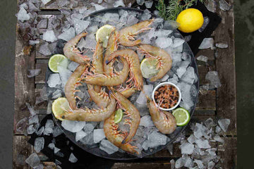 Seafood & Fish Delivered Sydney, Melbourne, Brisbane, Canberra ...